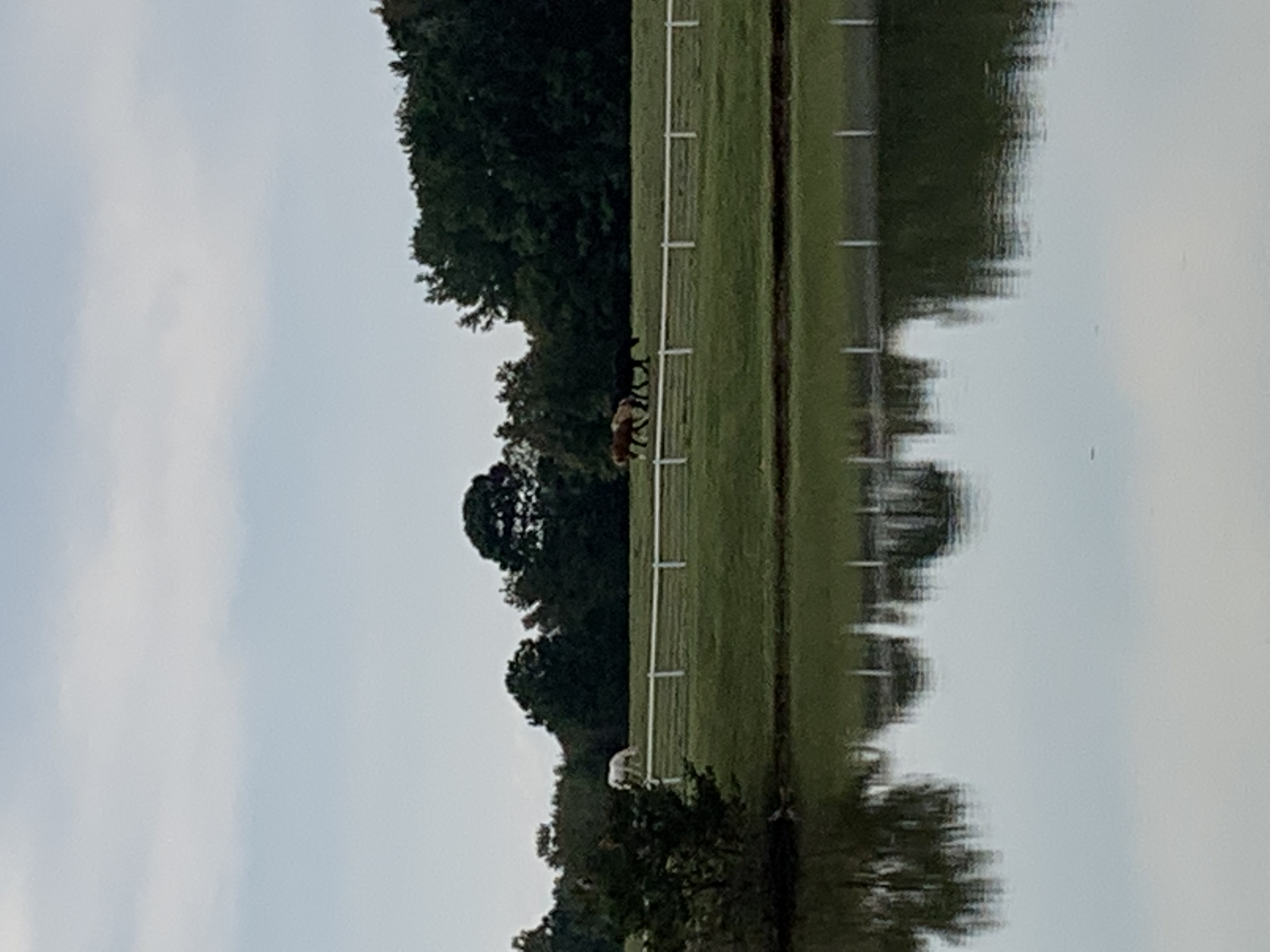 Lake Gypsy - Pictures